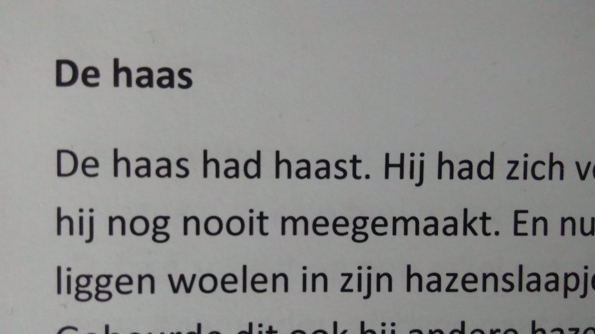 De haas – Aart van den Berg